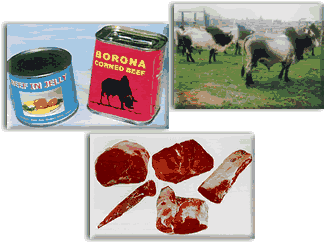 ELFORA's Productivity and Quality