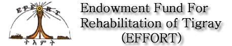 Endowment Fund For Rehabilitation of Tigray